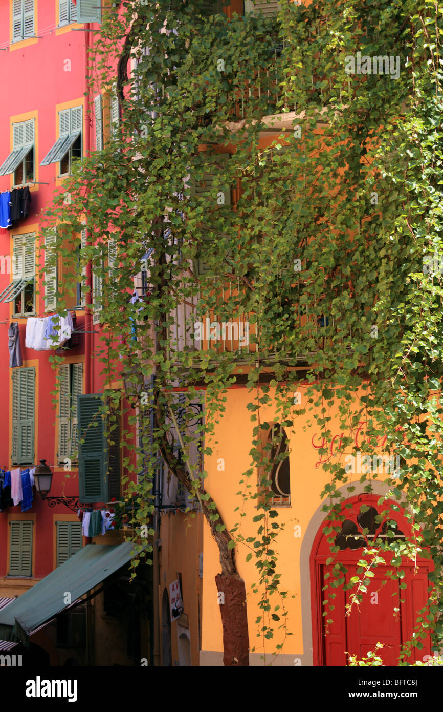 Vine building hi-res stock photography and images - Alamy