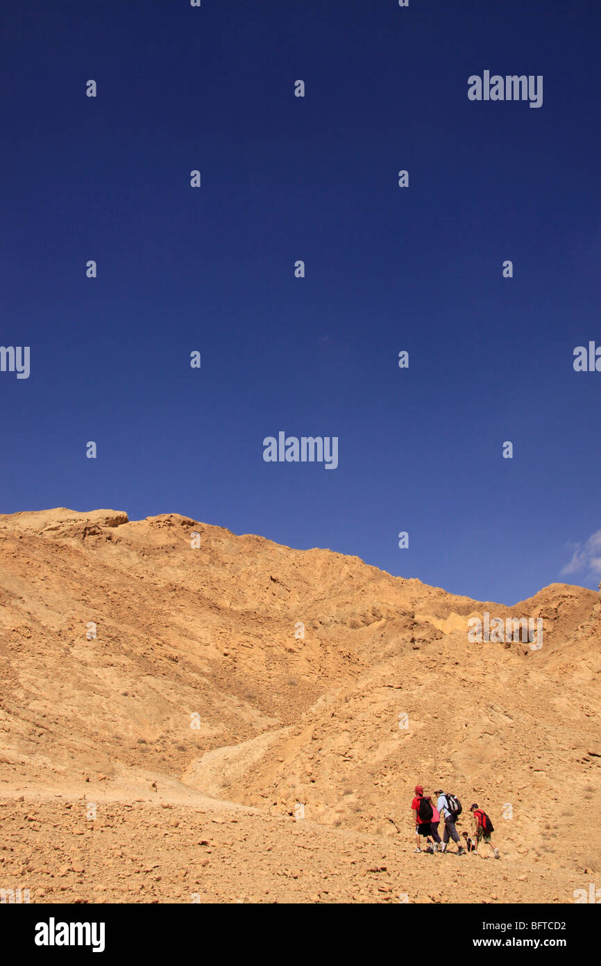 Israel, Negev, the way to the Ammonite Wall in Ramon Crater Stock Photo ...