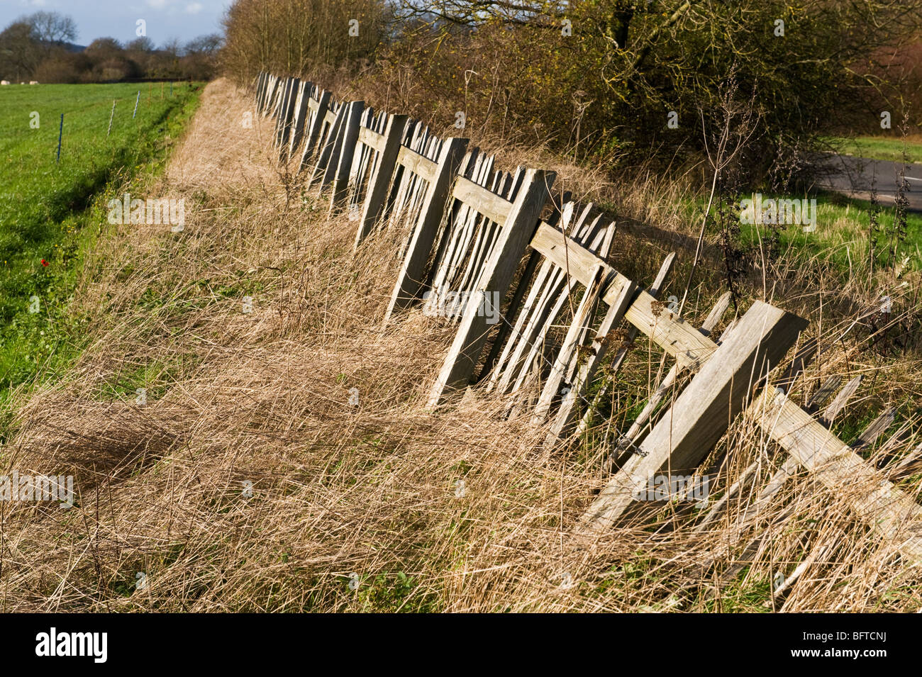 A rickety wooden fence on the edge of the Shardeloes estate in Amersham ...