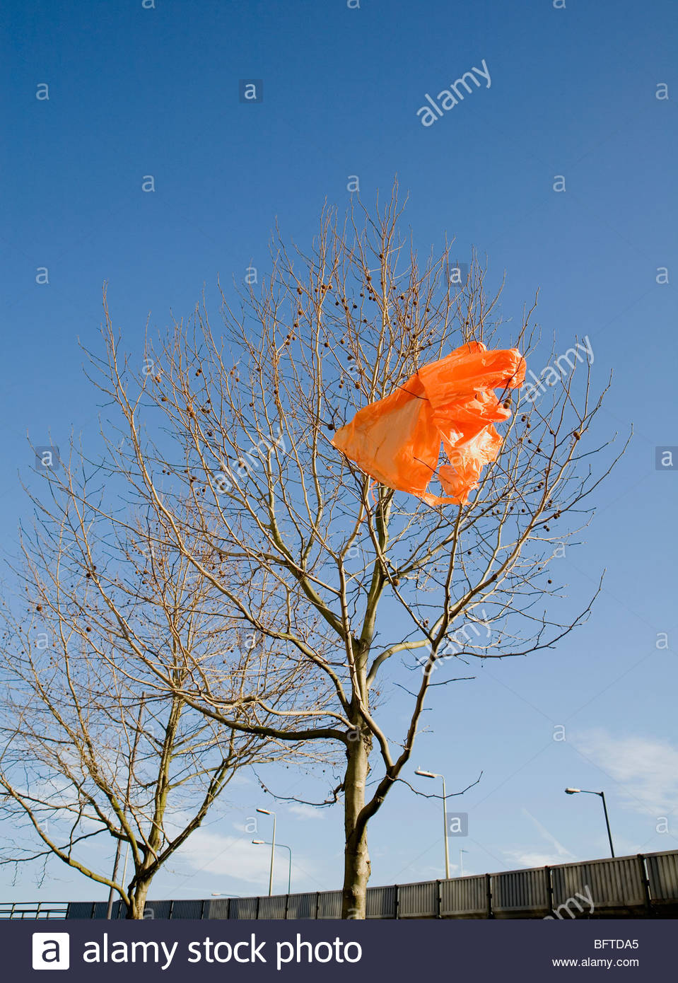 Carrier Stock Photos & Carrier Stock Images - Alamy