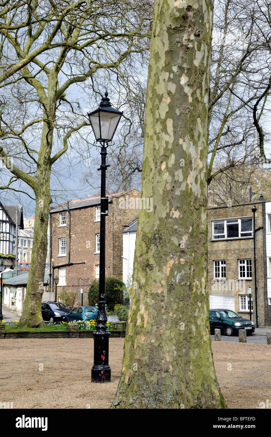 London Plane Trees with ornate lamppost Pond Square Highgate Village ...
