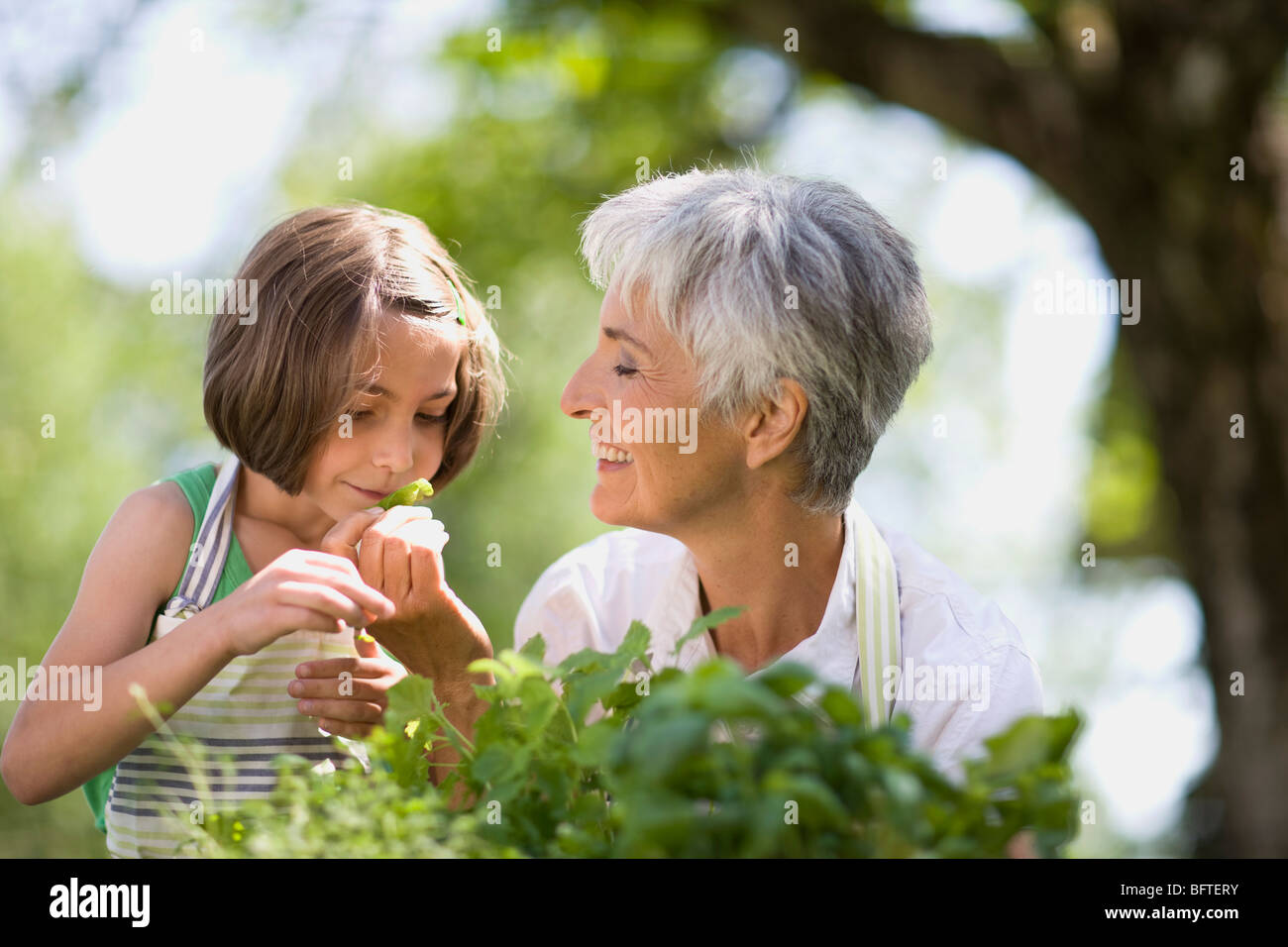 little girl examines something carefully Stock Photo - Alamy