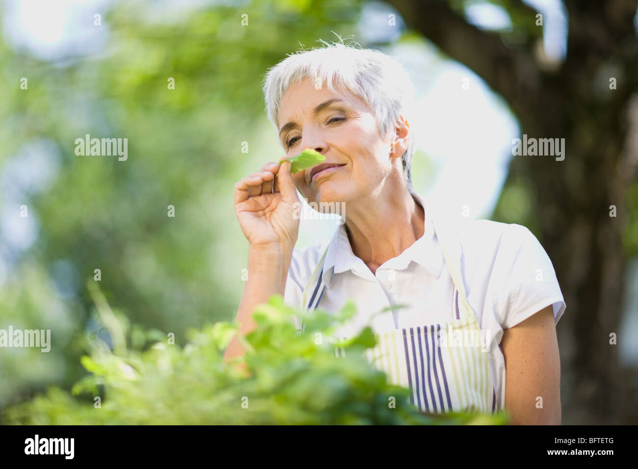 woman taking a smell at some herbs Stock Photo - Alamy