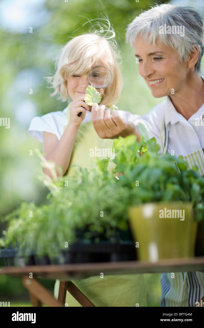 little girl examines something carefully Stock Photo - Alamy