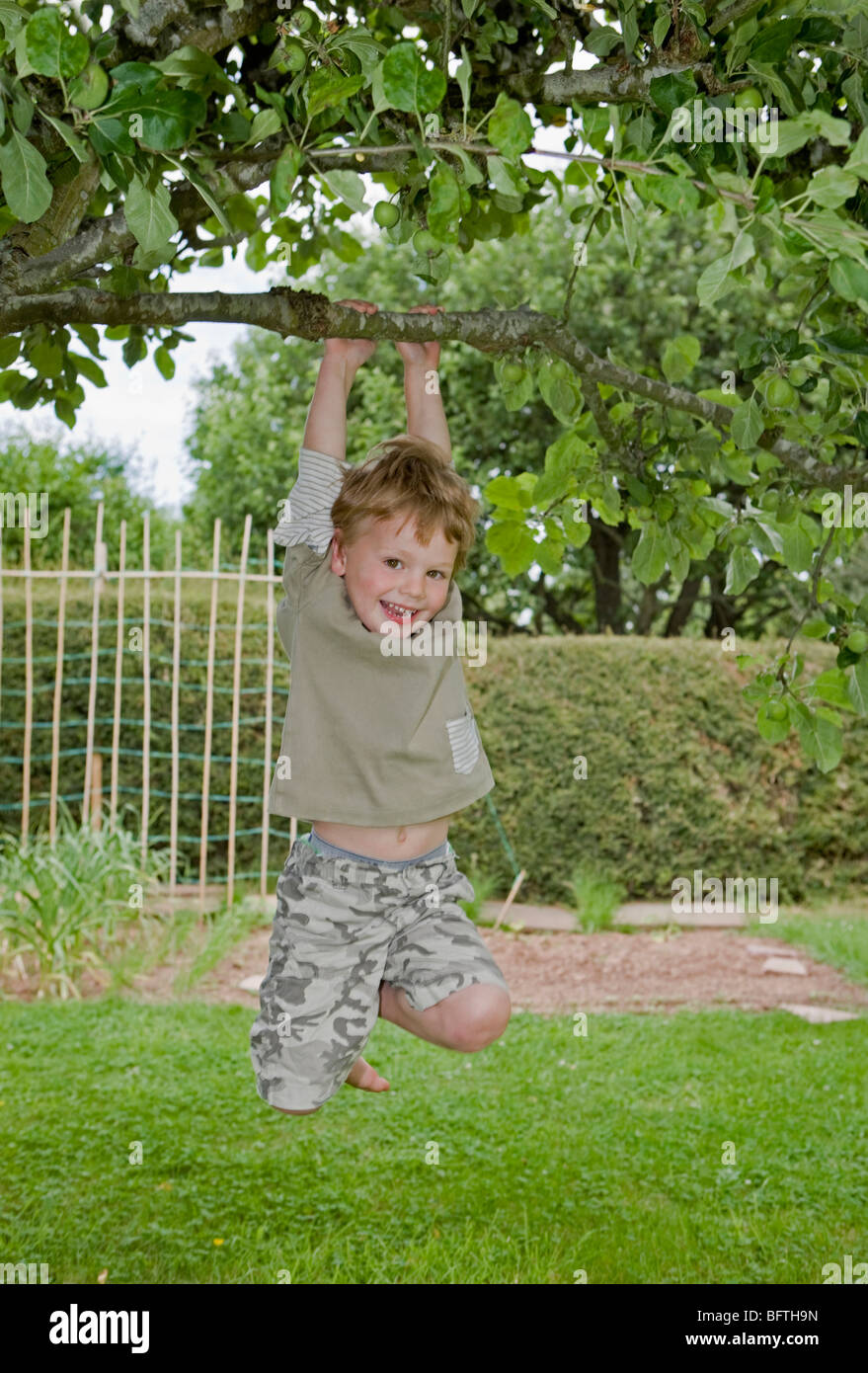 boy hanging from tree Stock Photo - Alamy