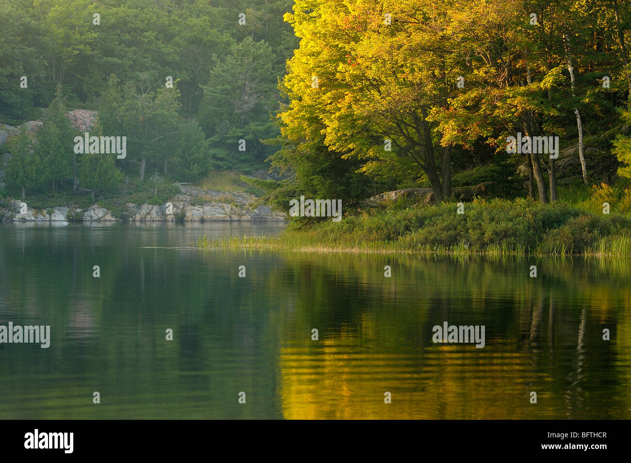 Acid rain lake canada hi-res stock photography and images - Alamy