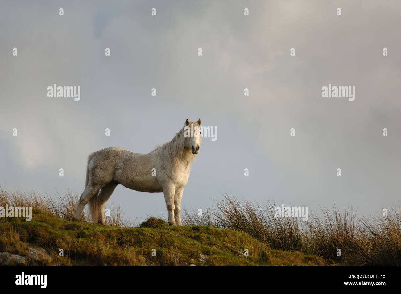 Gray irish sky hi-res stock photography and images - Alamy