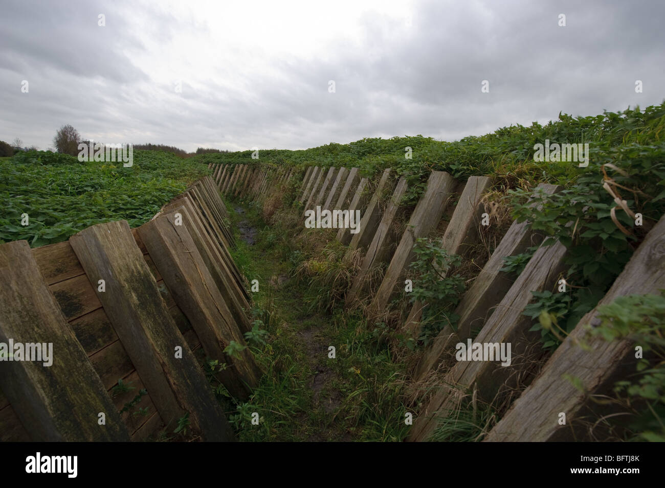 A muddy world war 2 trench Stock Photo - Alamy