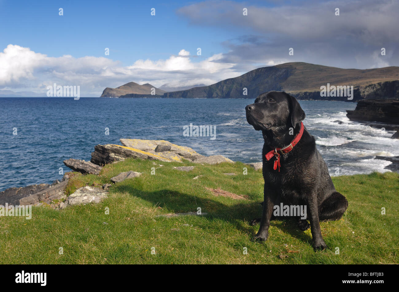 Shore of labrador sea hi-res stock photography and images - Alamy