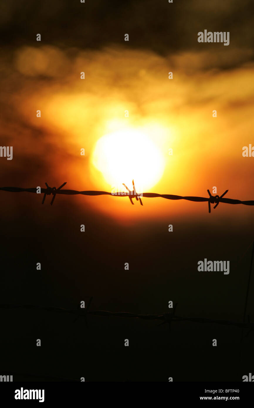 Barbed wire Silhouette at Sunset Stock Photo - Alamy