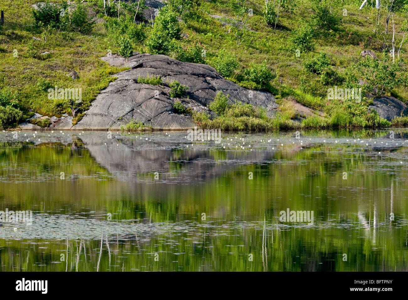 Ponds beaverponds hi-res stock photography and images - Alamy