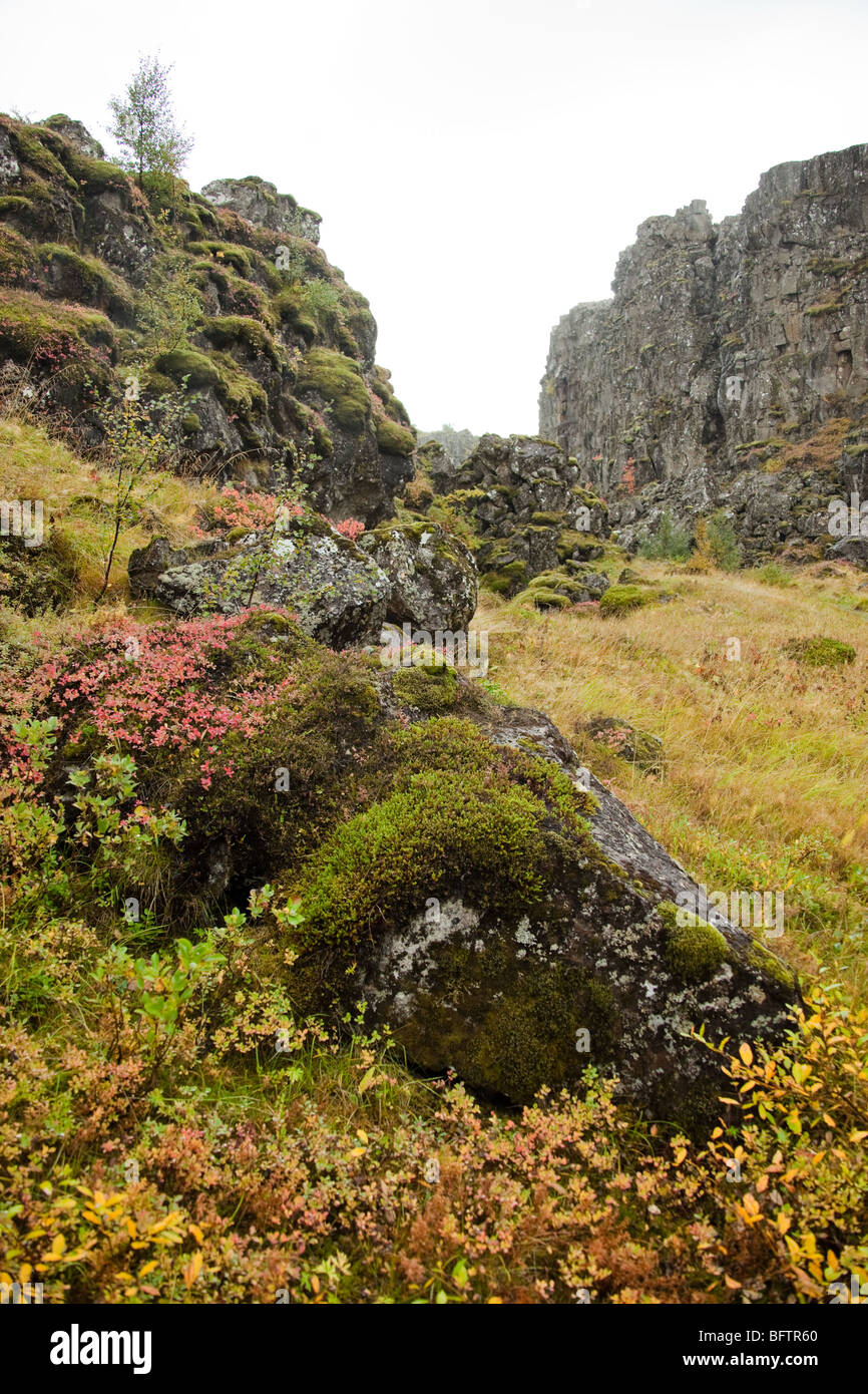 Fissures in earth's crust at the juncture of the North American and ...