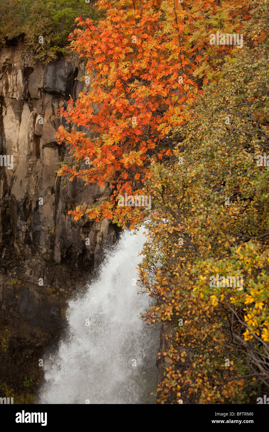 Waterfall in Skaftafell National Park, at the southern coast of Iceland ...