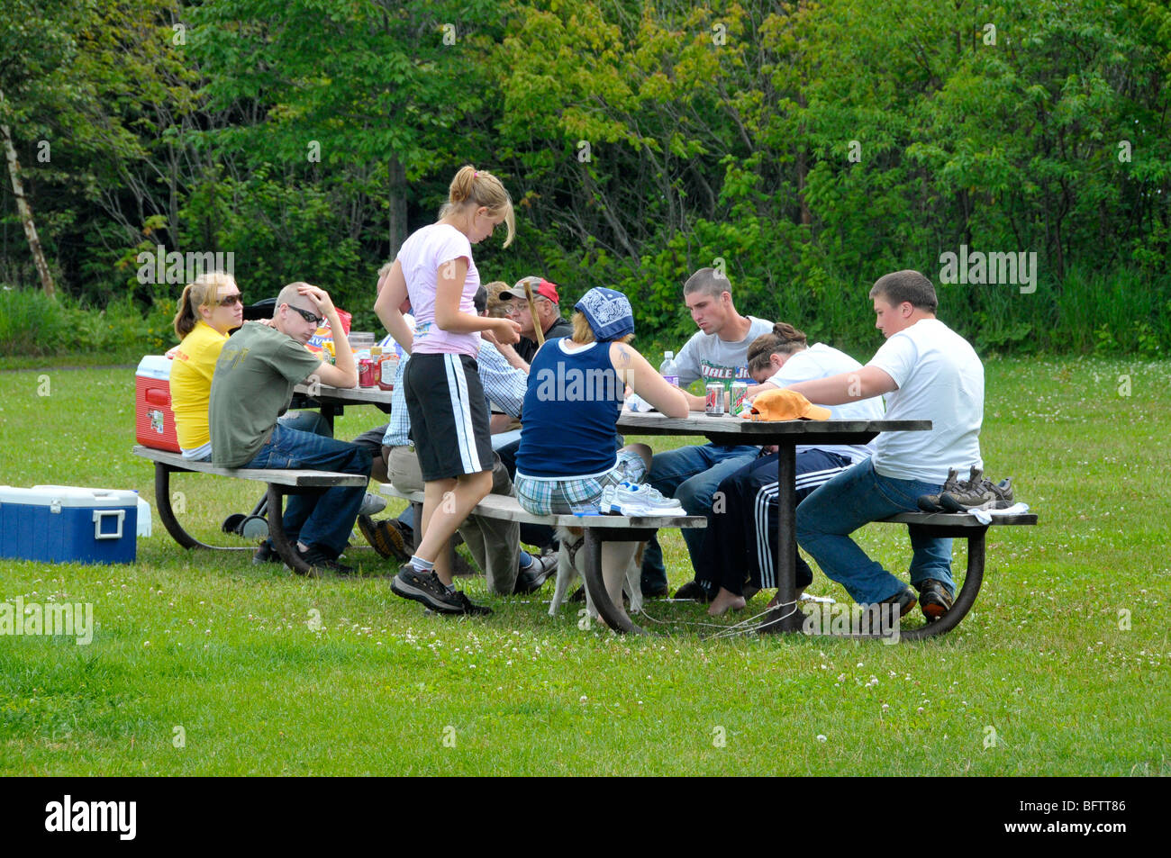 Young people enjoy lunch together in park Stock Photo - Alamy