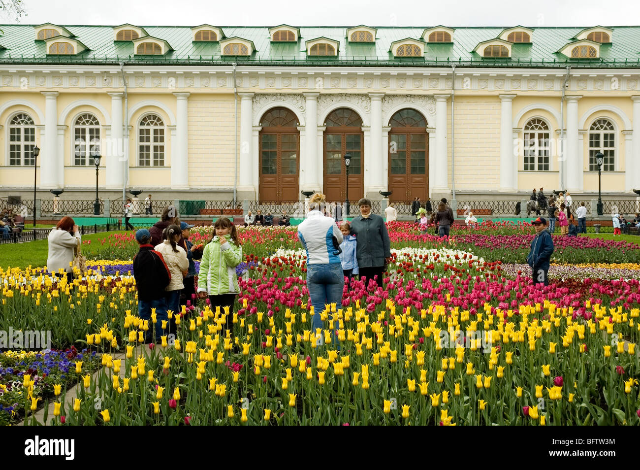 Russian tulips hi-res stock photography and images - Alamy