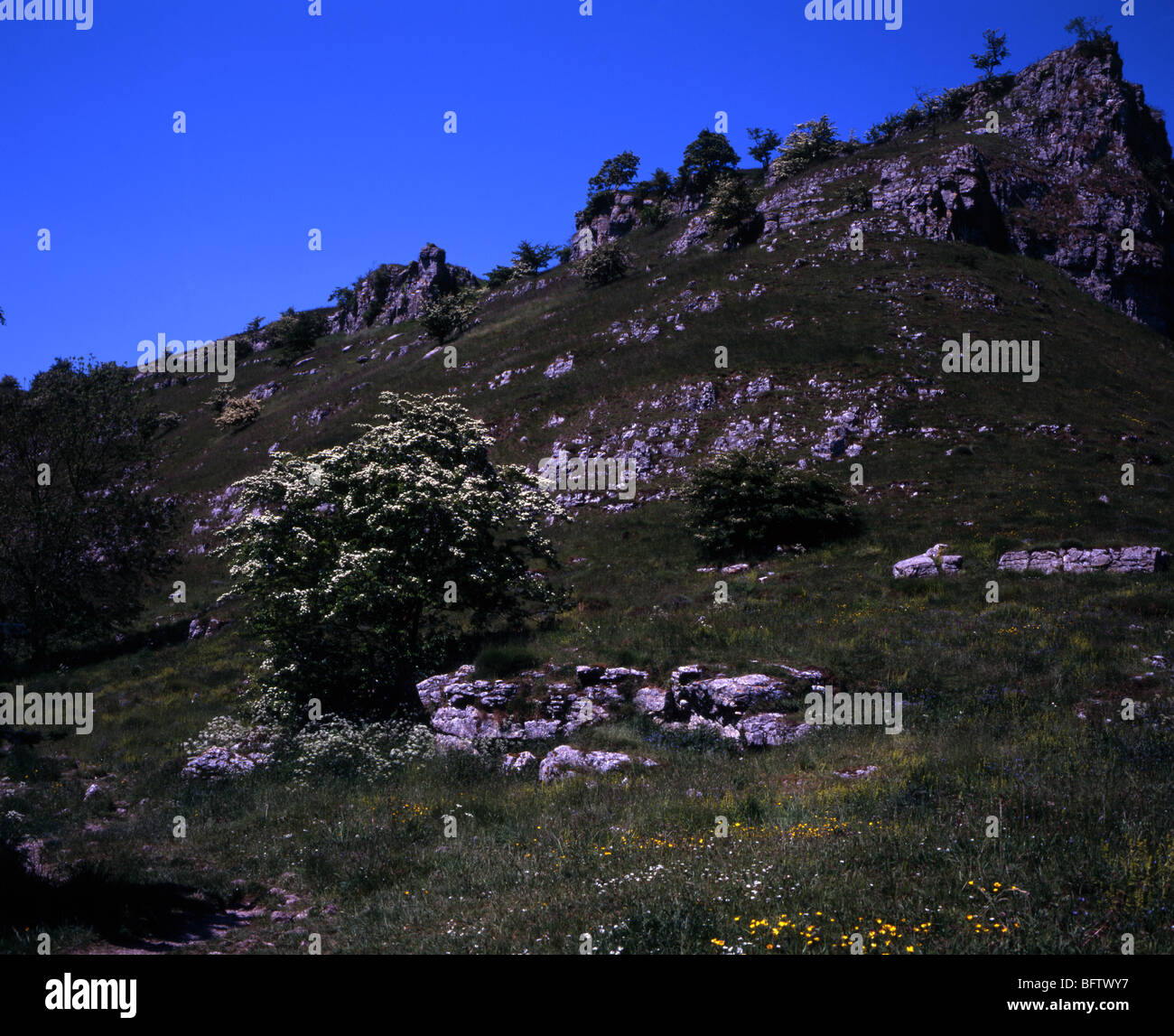 Lathkill Dale Derbyshire England Stock Photo - Alamy