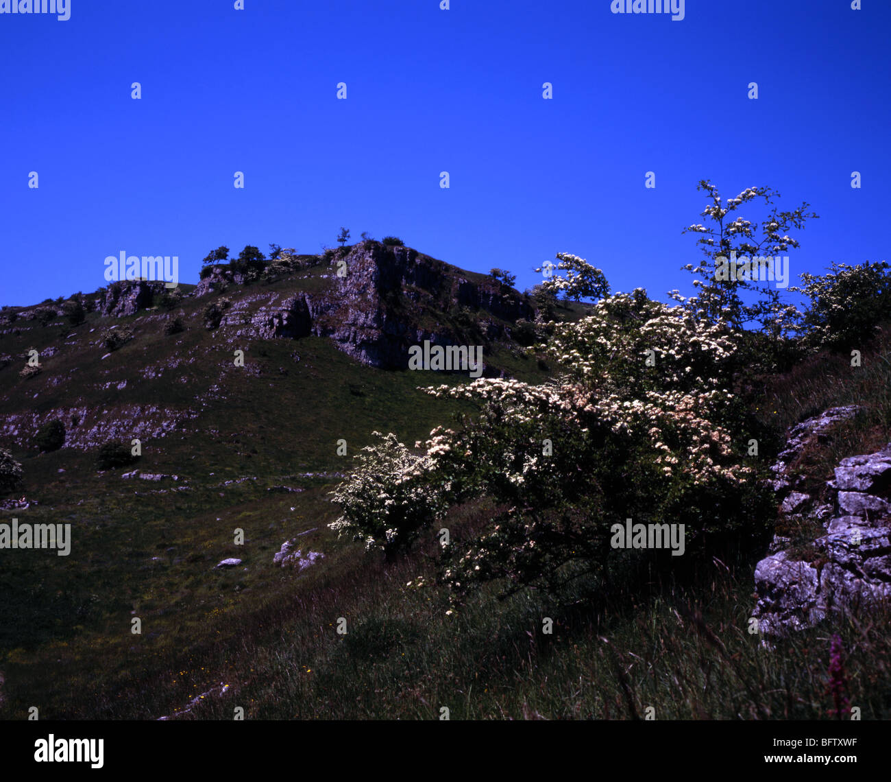 Lathkill Dale Derbyshire England Stock Photo - Alamy