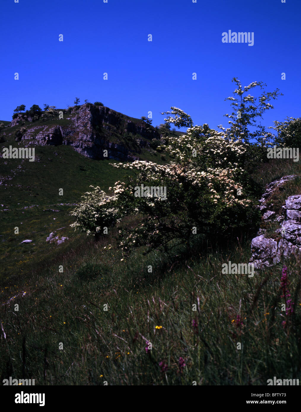 Lathkill Dale Derbyshire England Stock Photo - Alamy
