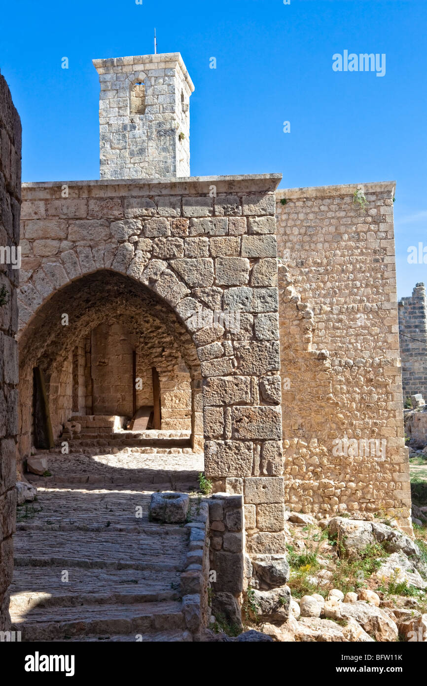 The Citadel of Salah Ed-Din (once known as Saone, also known as ...