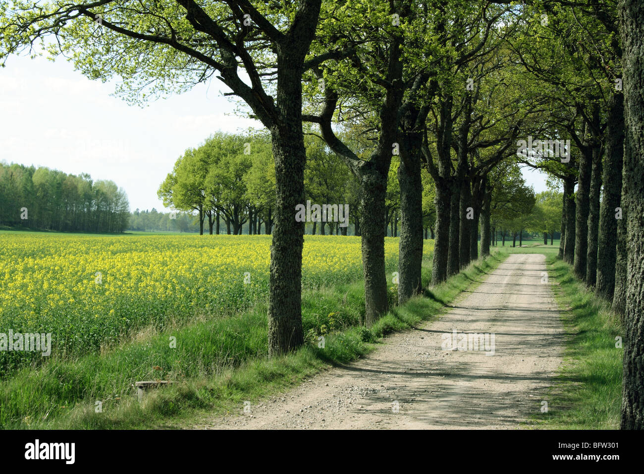 Field behind alley hi-res stock photography and images - Alamy