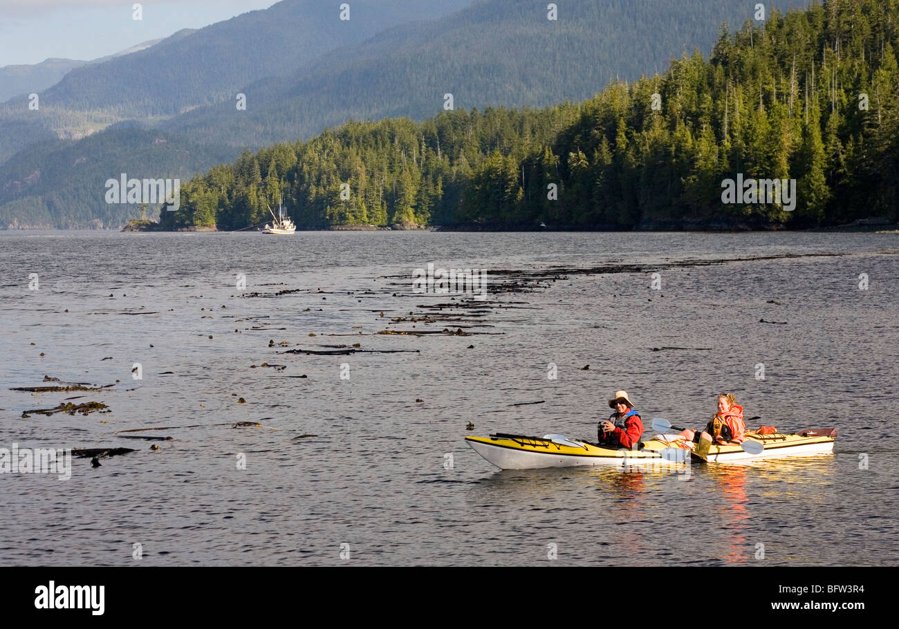 Relaxed kayaking in Johnstone Strait Stock Photo - Alamy