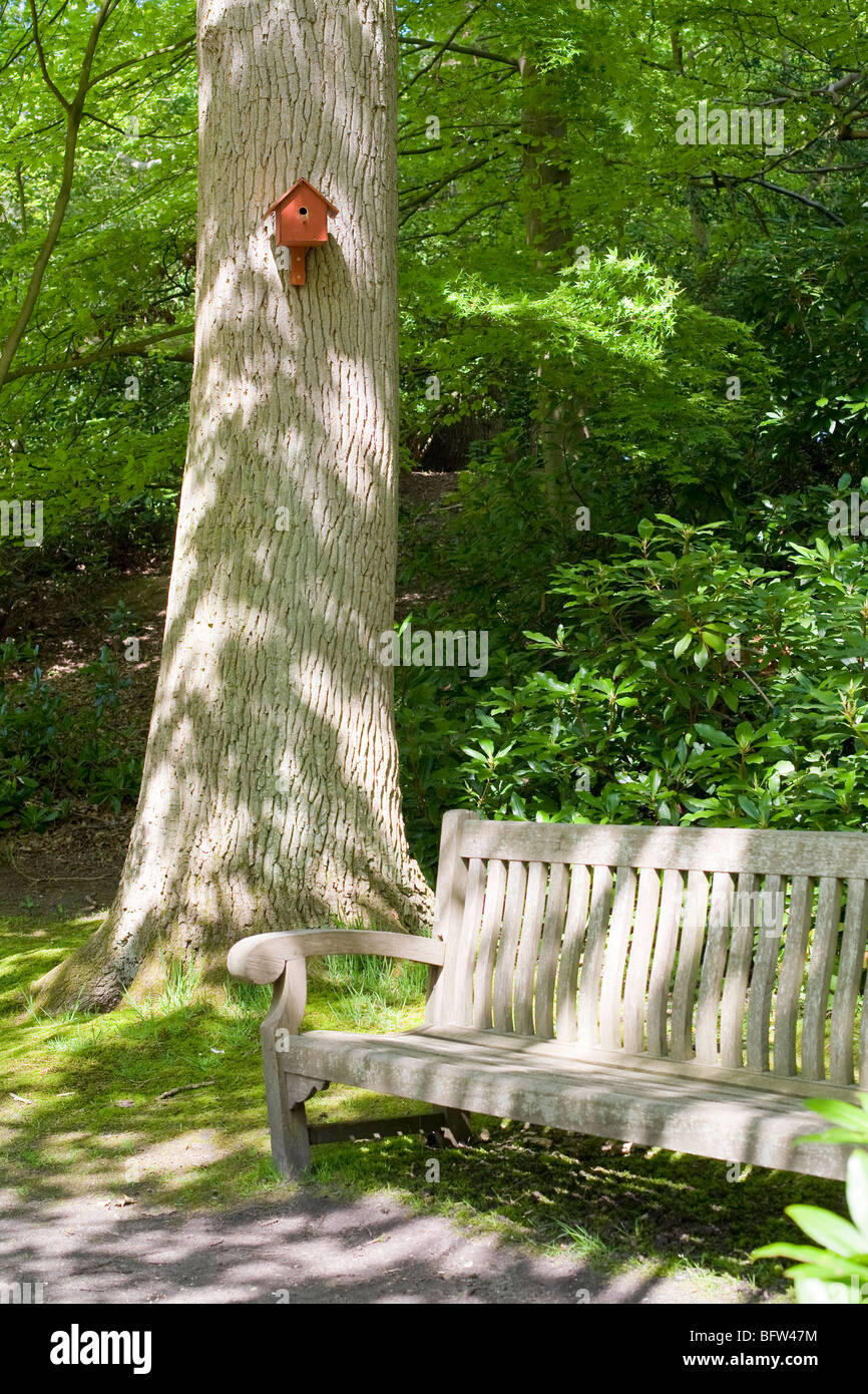 Box attached to tree trunk hi-res stock photography and images - Alamy