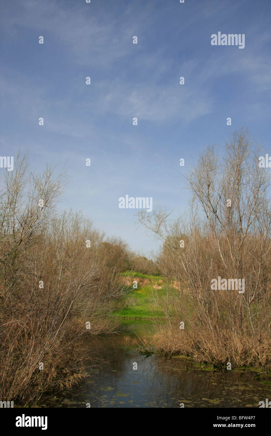 Israel, Besor region in the northern Negev. Besor stream Stock Photo ...