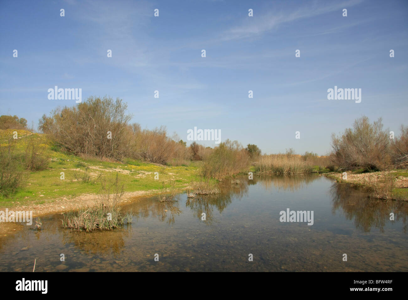Israel, Besor region in the northern Negev. Besor stream Stock Photo ...