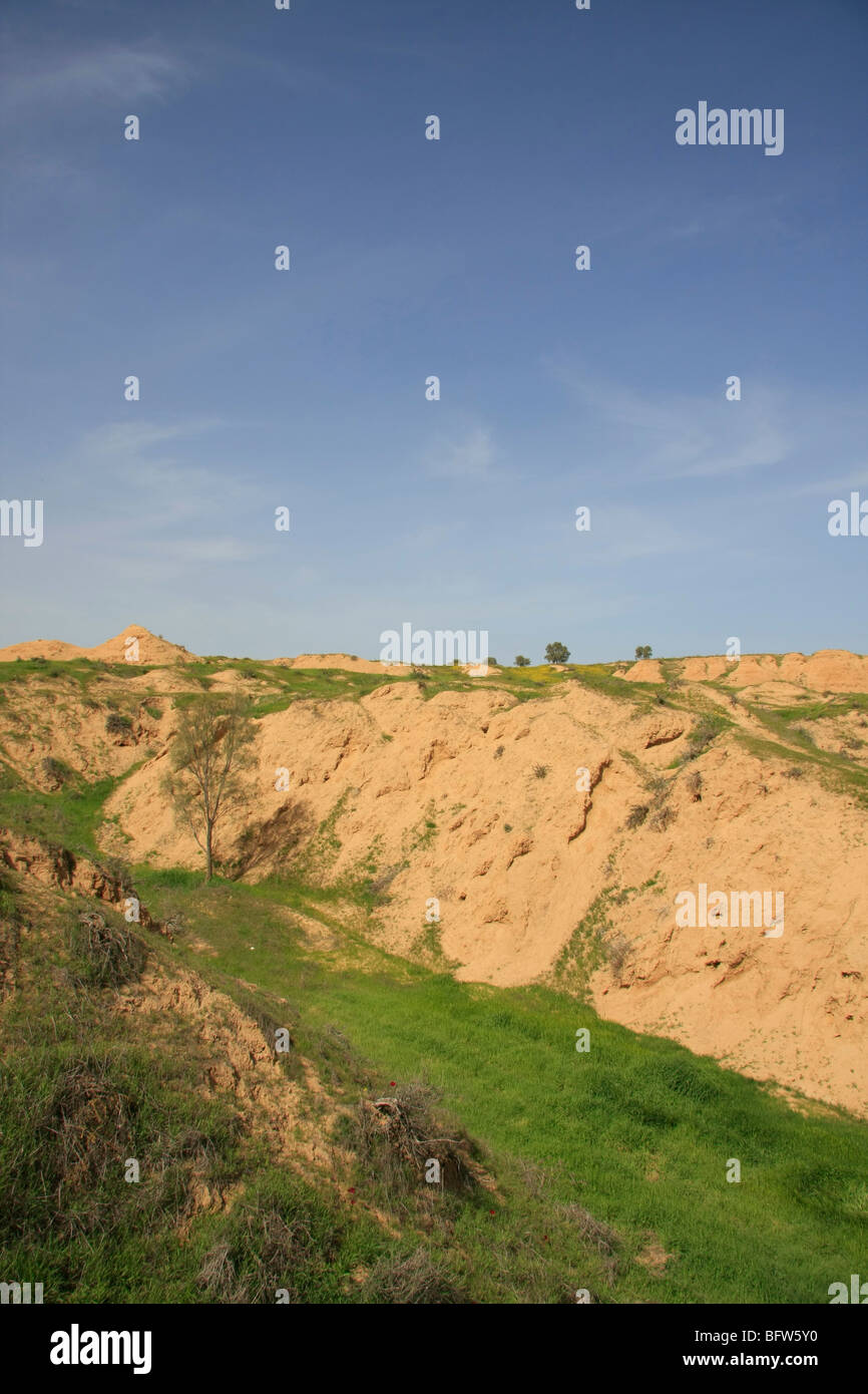 Israel, the northern Negev. Scenery by Besor route scenic road Stock ...