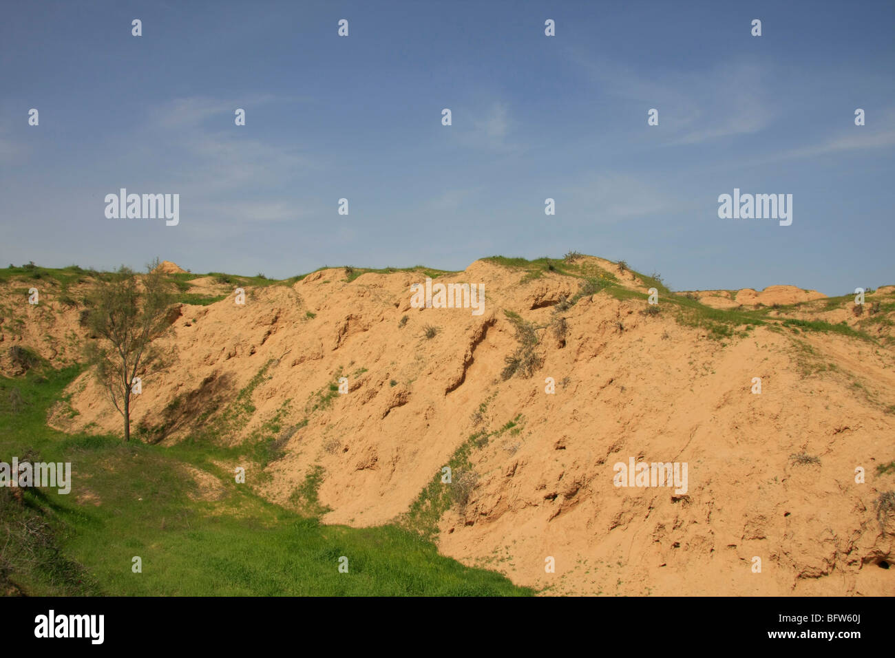 Israel, the northern Negev. Scenery by Besor route scenic road Stock ...