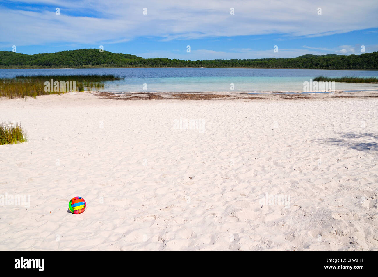 Lake Birrabeen, Fraser Island, Queensland, Australia Stock Photo - Alamy