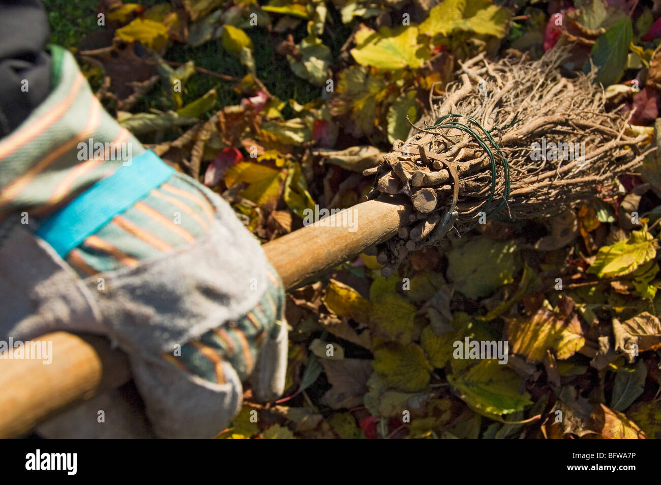Close up of person man gardener sweeping tidying fallen leaves using a ...