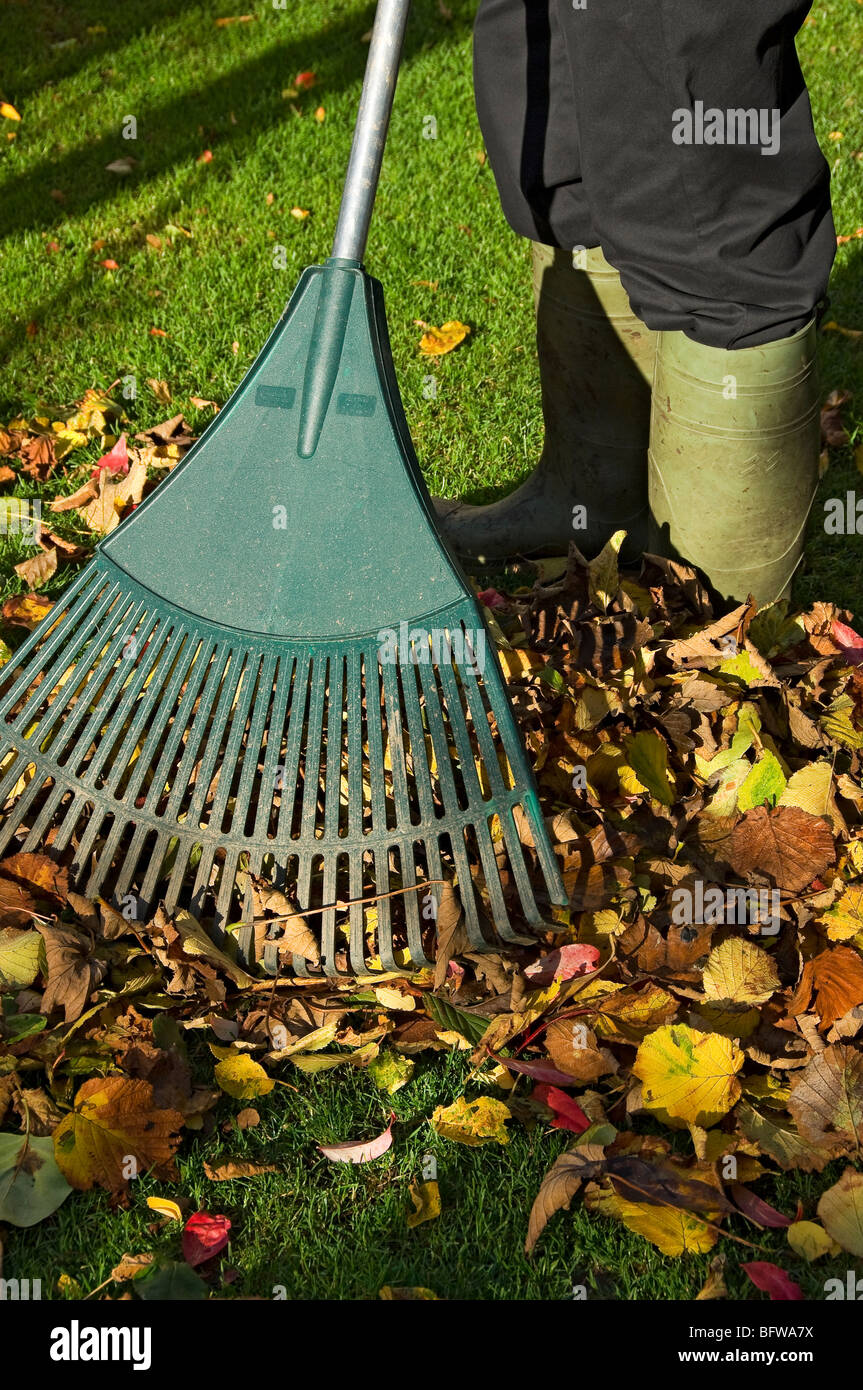 Uk fall leaves hi-res stock photography and images - Alamy