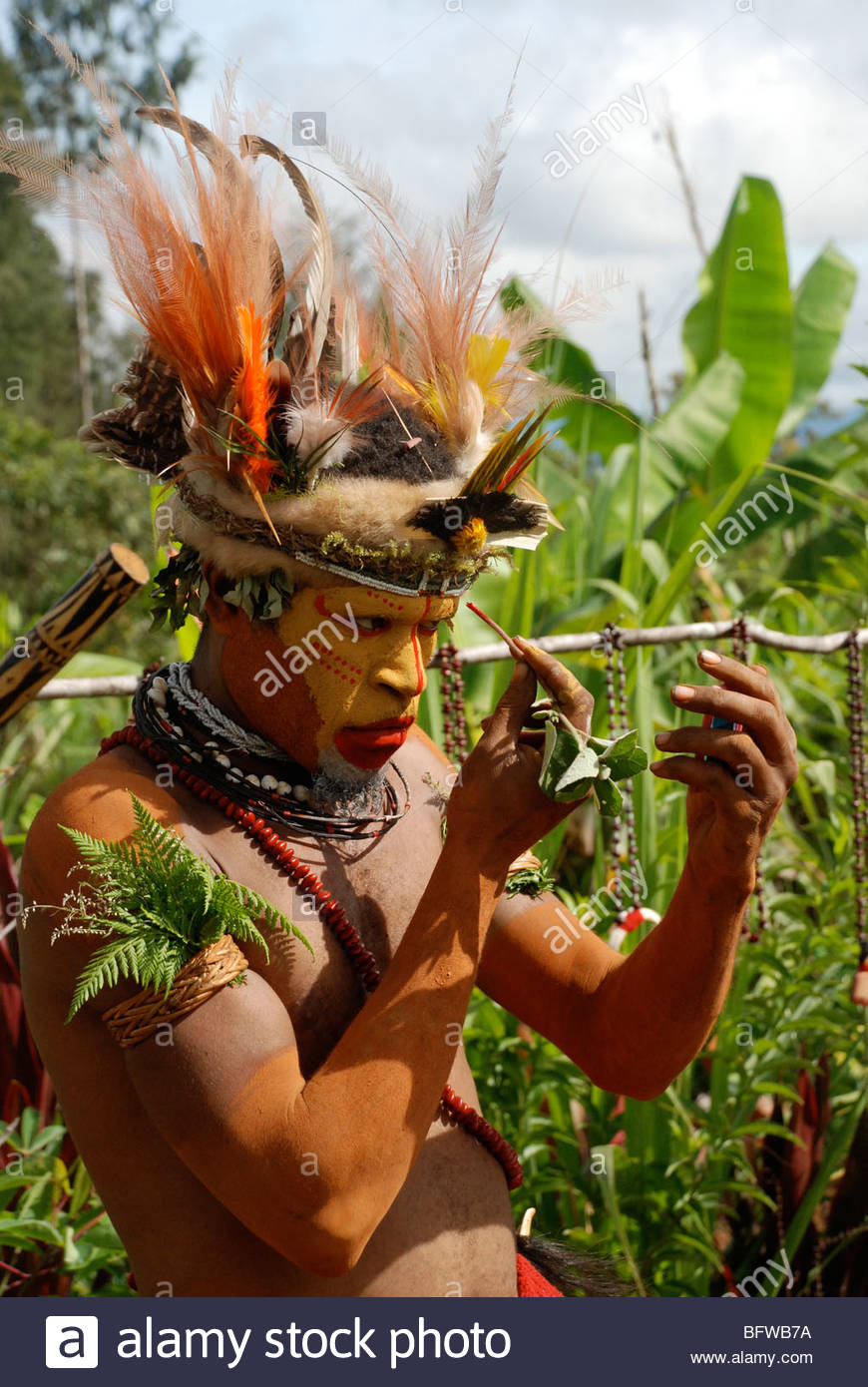 Huli Culture Stock Photos & Huli Culture Stock Images - Alamy