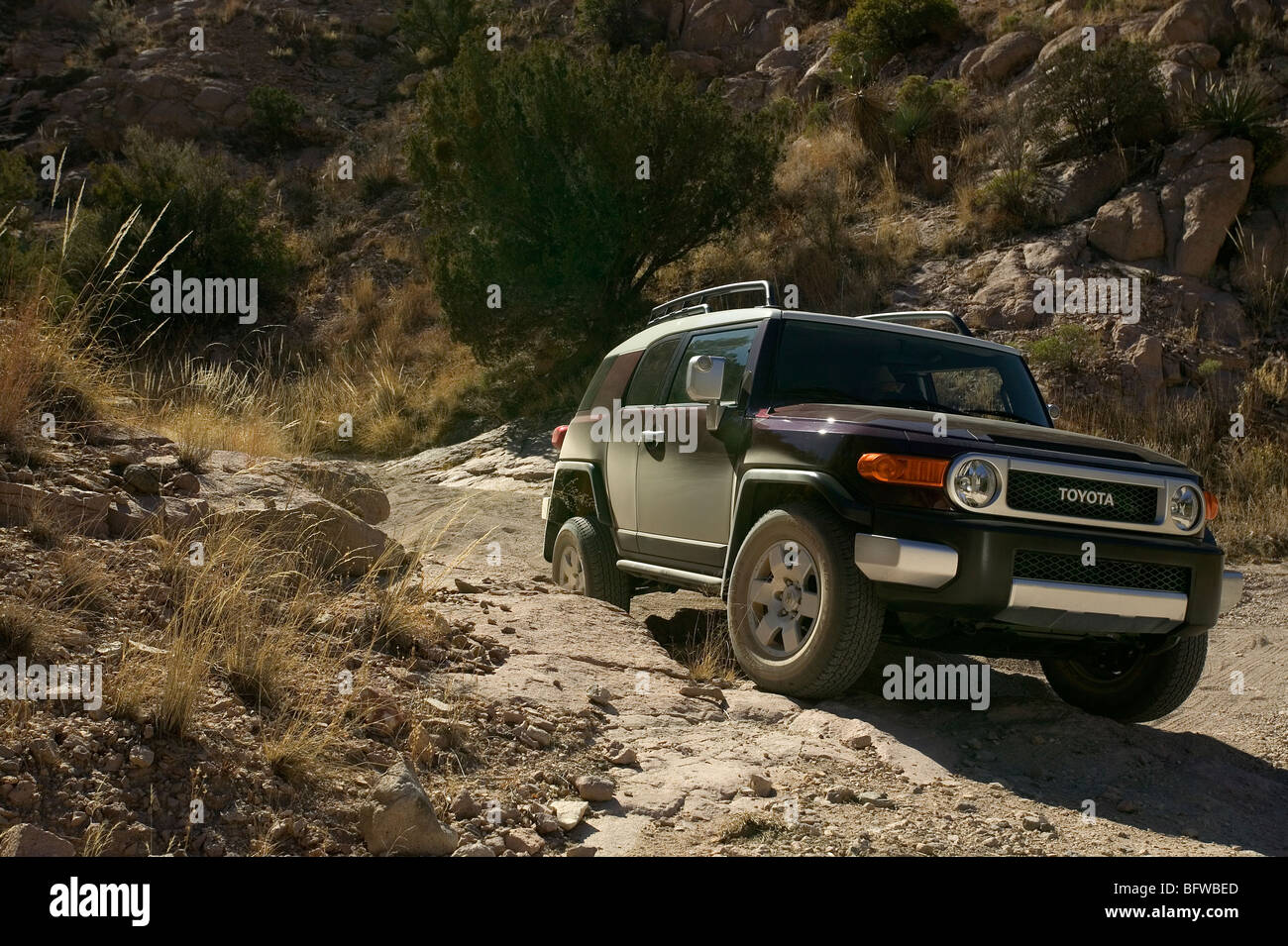 Fj Cruiser Underwater