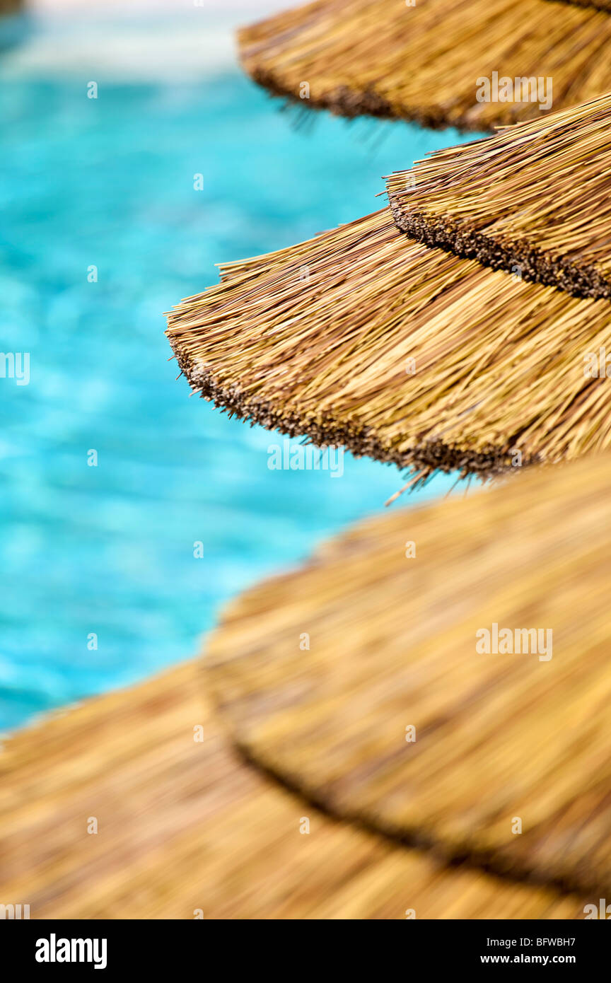 Parasol and swimming pool Stock Photo - Alamy