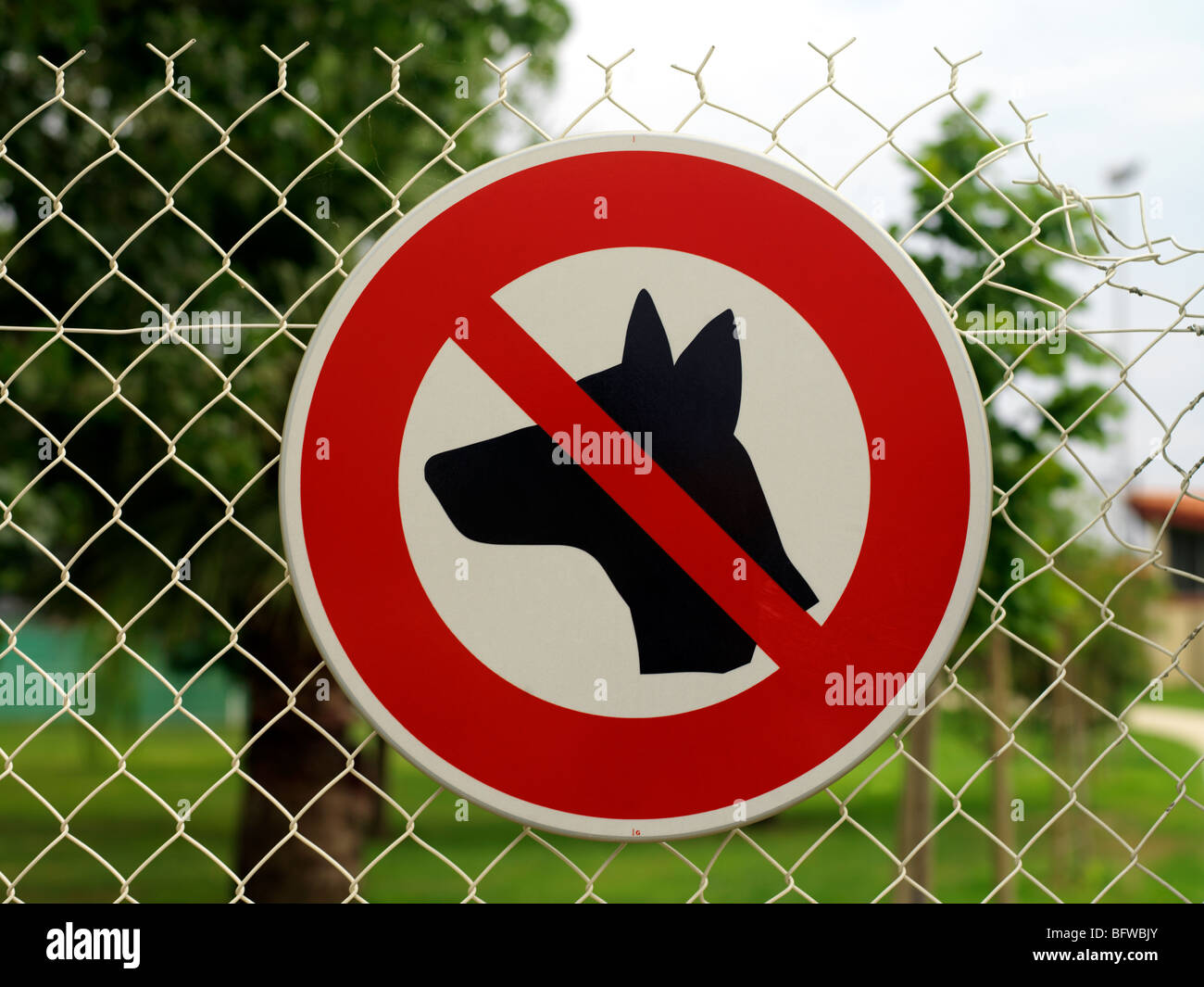St Cyprien France No Dogs Allowed Sign Stock Photo - Alamy