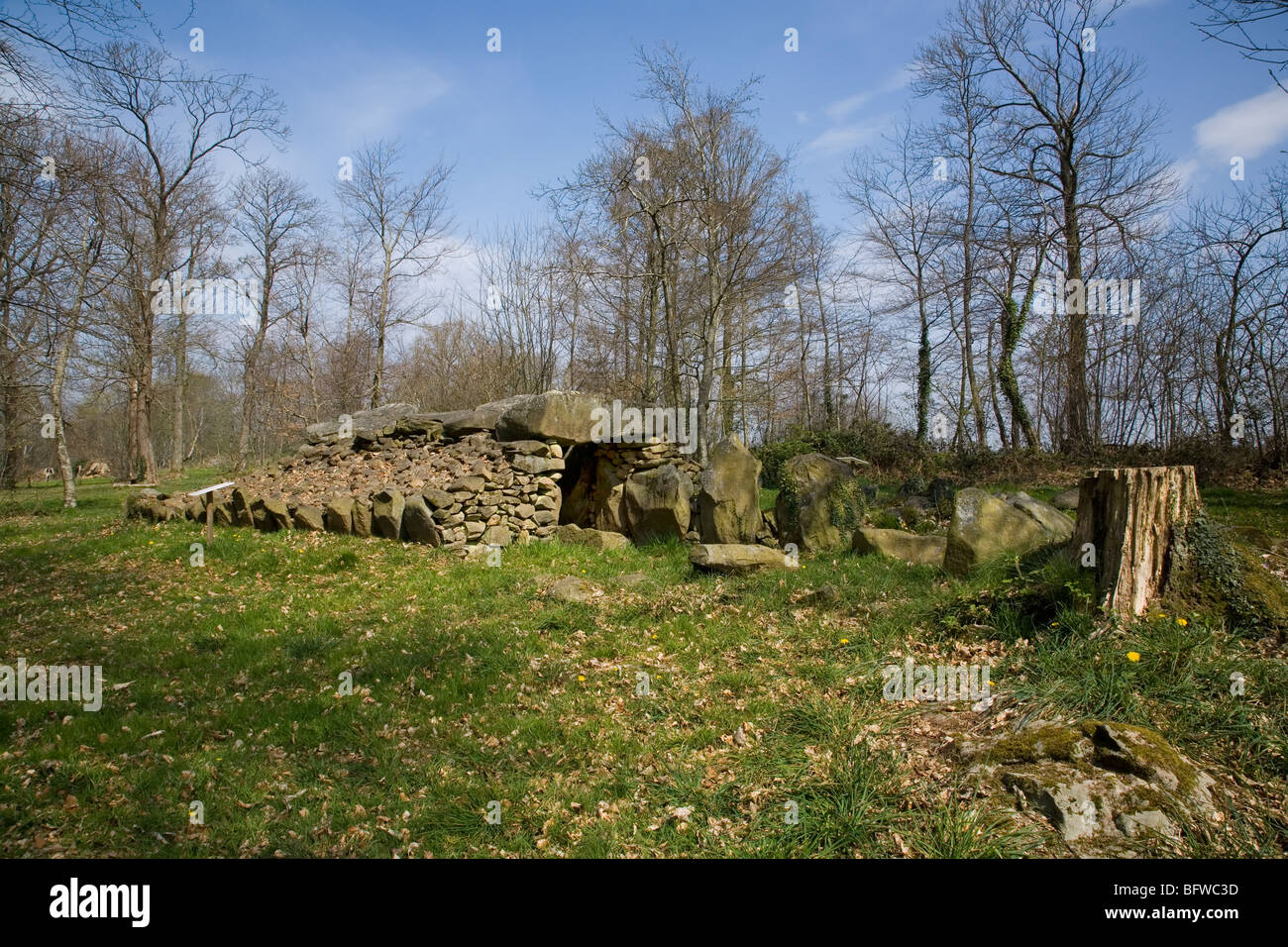 Neolithic burial chamber in northern France Stock Photo - Alamy