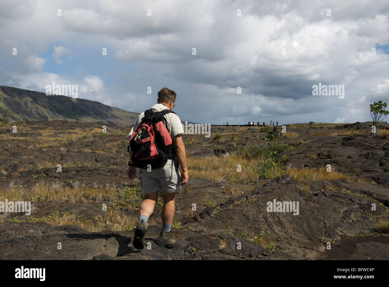 Mike Vining en route to Pu'u Loa Petroglyphs Hawaii Volcanoes National ...