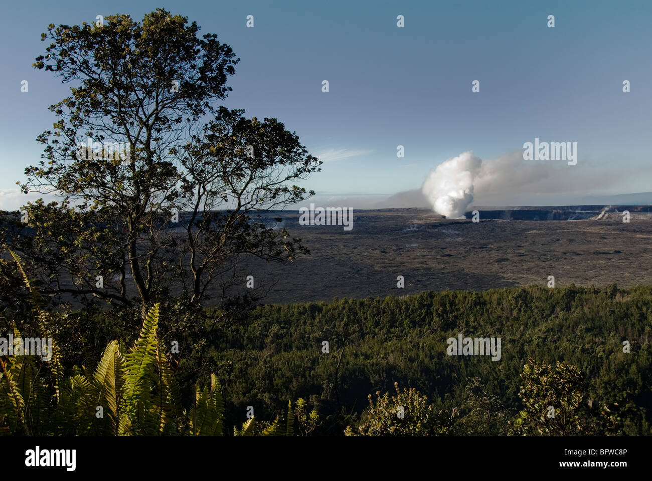 Volcano house hawaii hi-res stock photography and images - Alamy