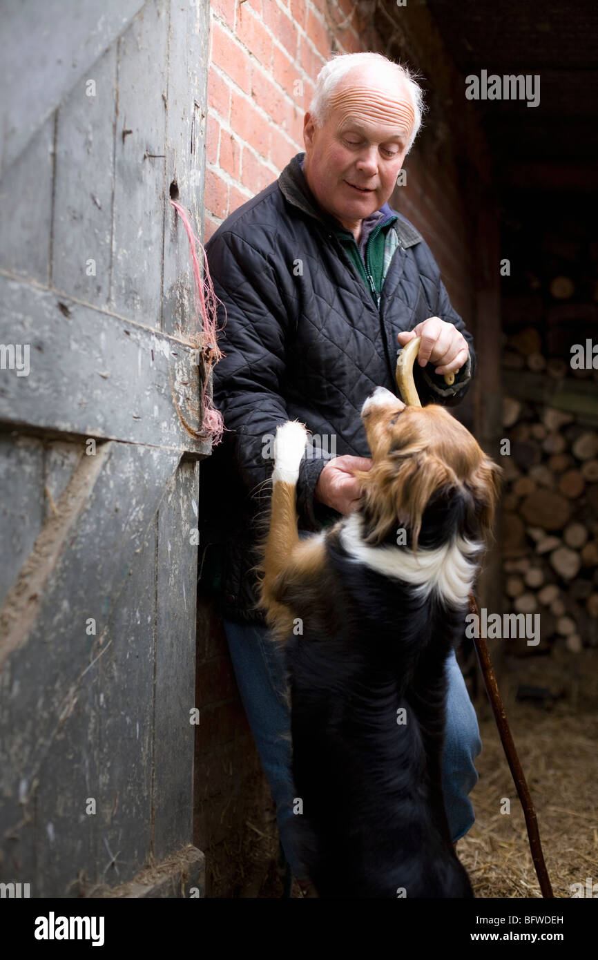 European sheepdog hi-res stock photography and images - Alamy