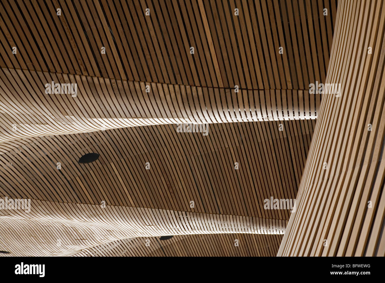 Close up of the ceiling form at the Senedd in Cardiff Bay Stock Photo ...