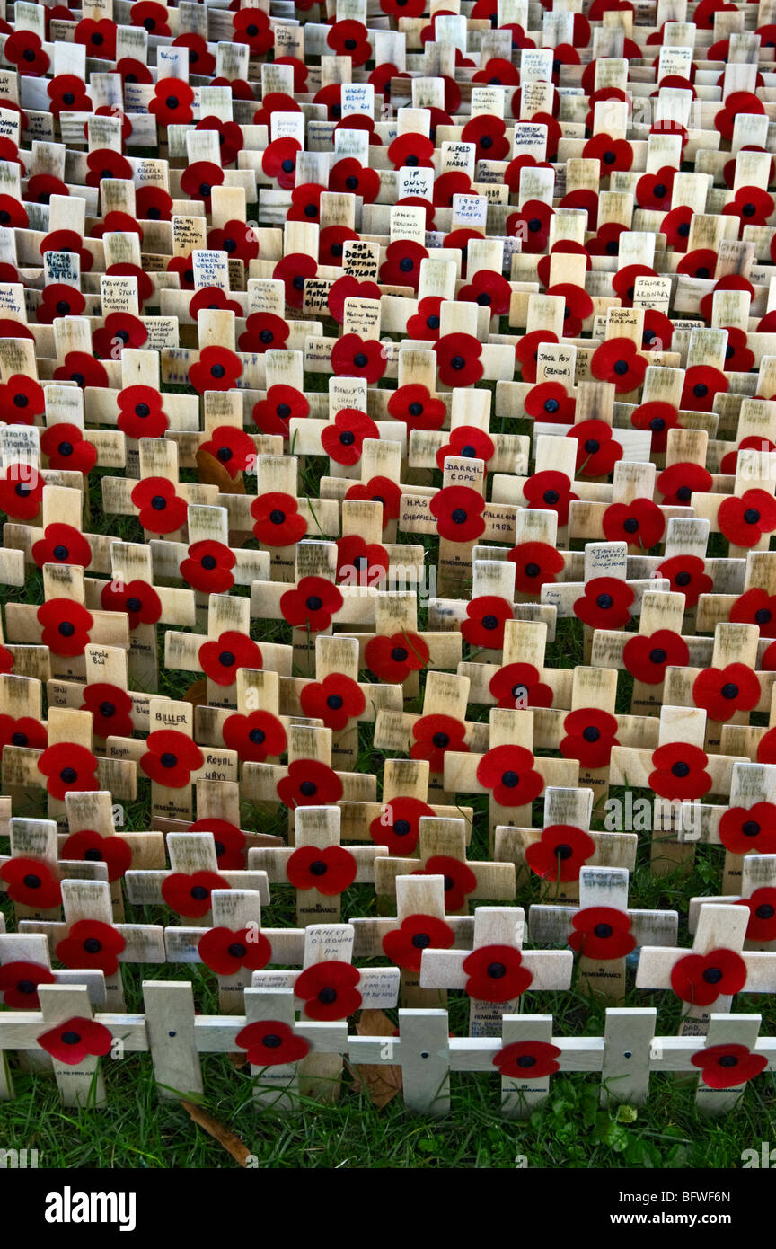 Westminster abbey field remembrance hi-res stock photography and images ...