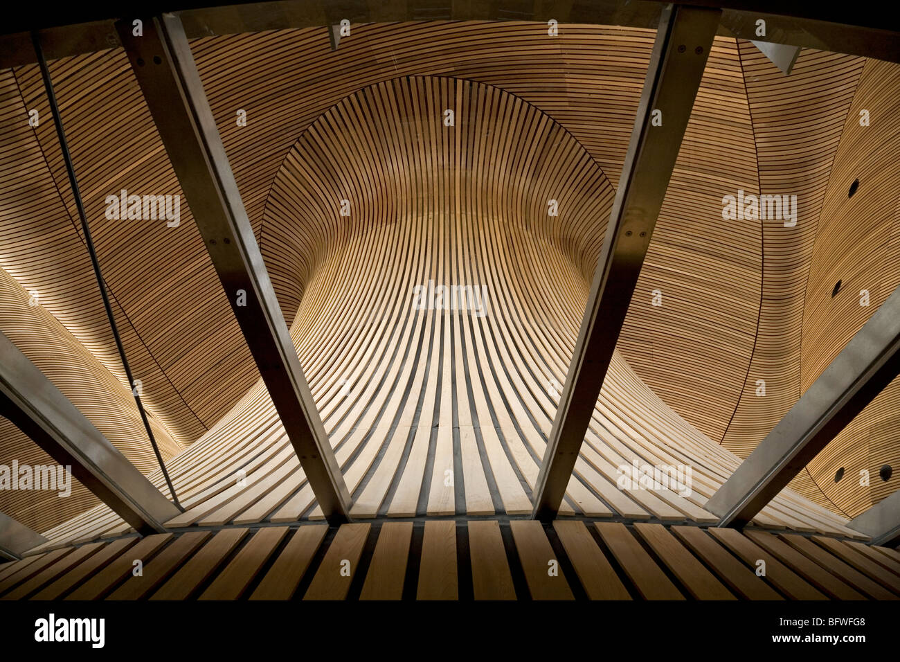 View from the observation gallery of the ceiling of the Senedd in ...