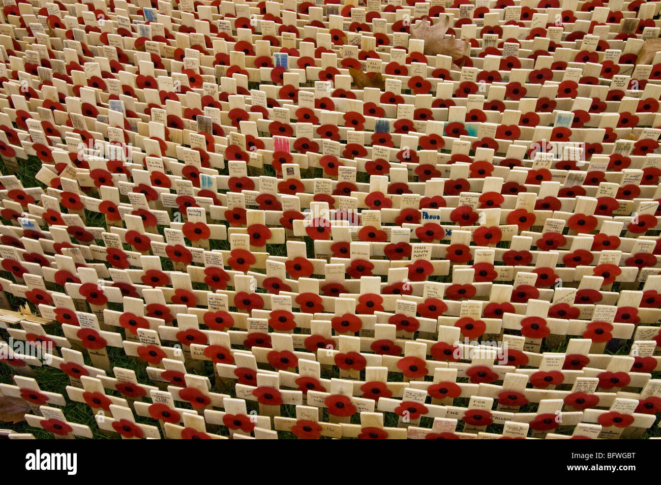 Field of Remembrance, poppies and crosses out side Westminster Abbey ...