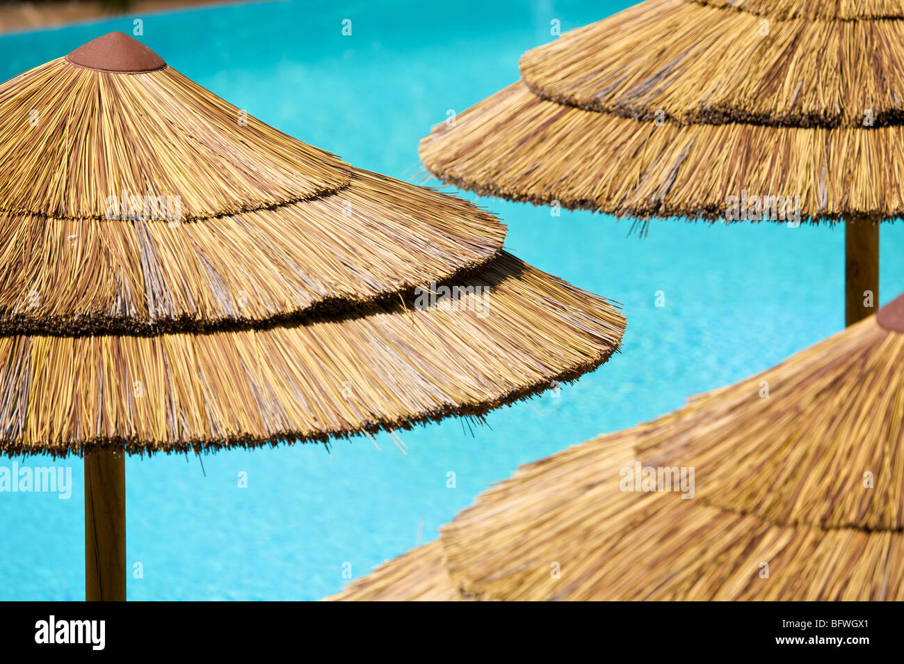 Parasol and swimming pool Stock Photo - Alamy