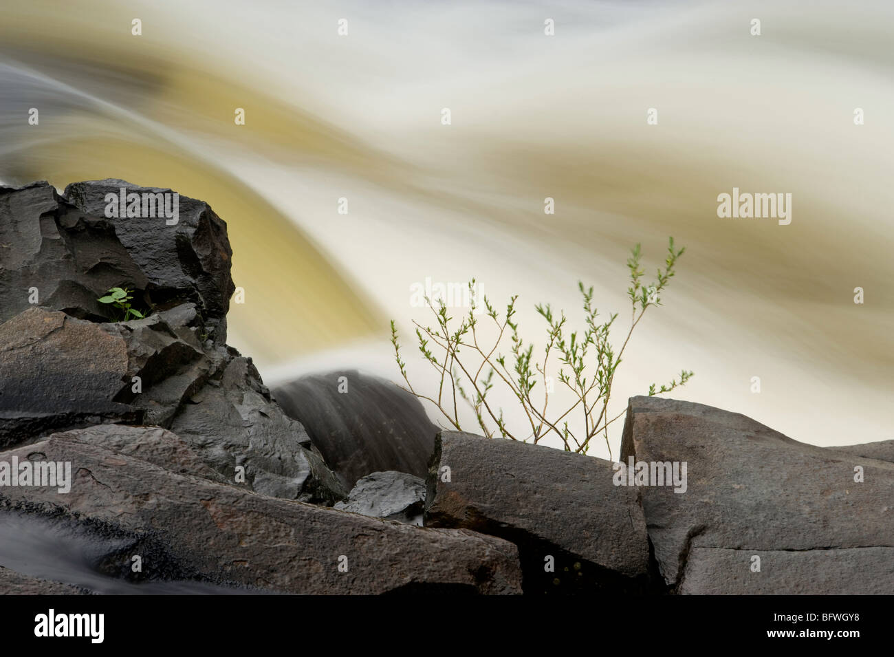 Rapids and standing waves in Onaping River above waterfall, Greater ...