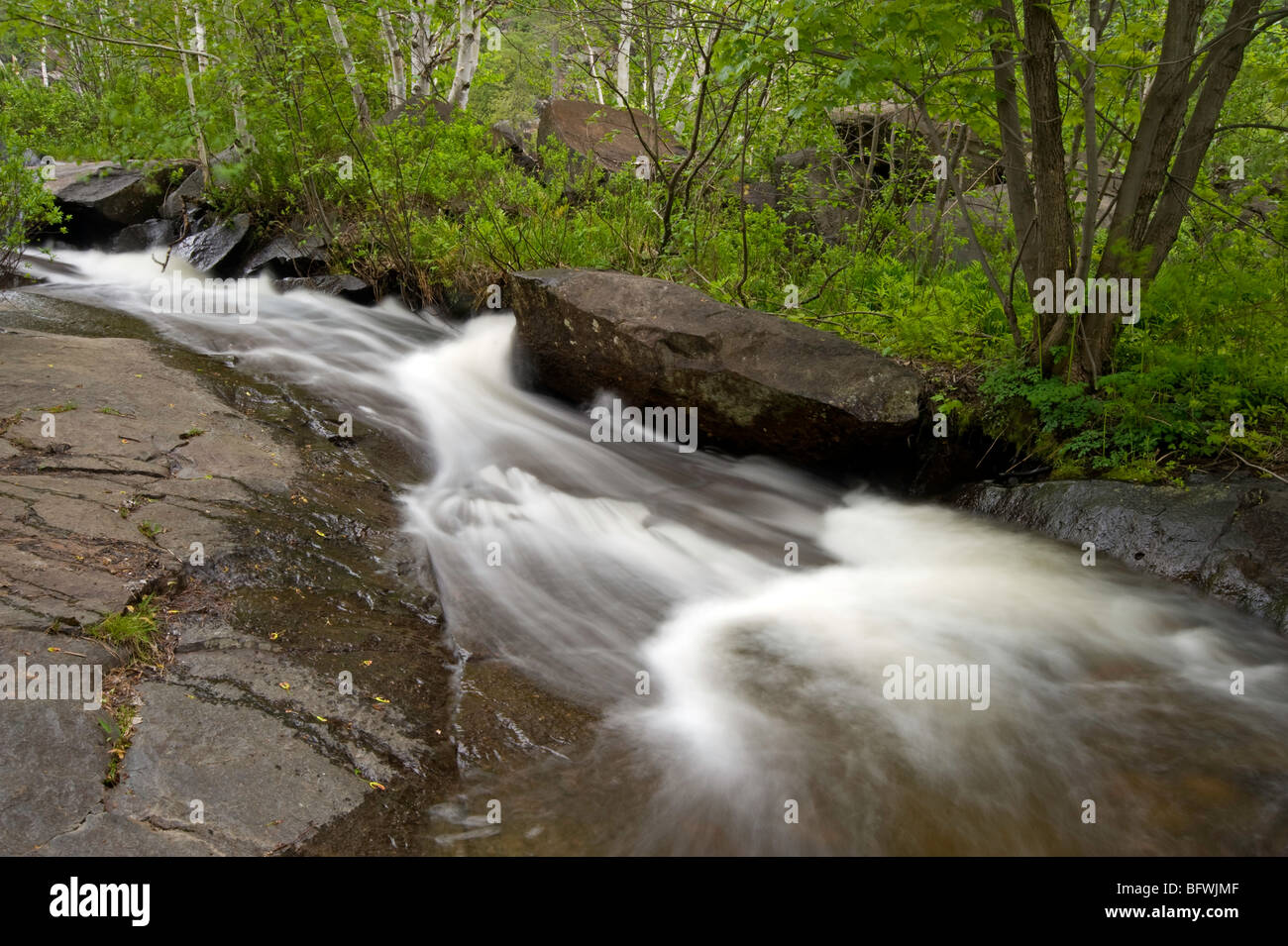 Spring in the onaping river hi-res stock photography and images - Alamy