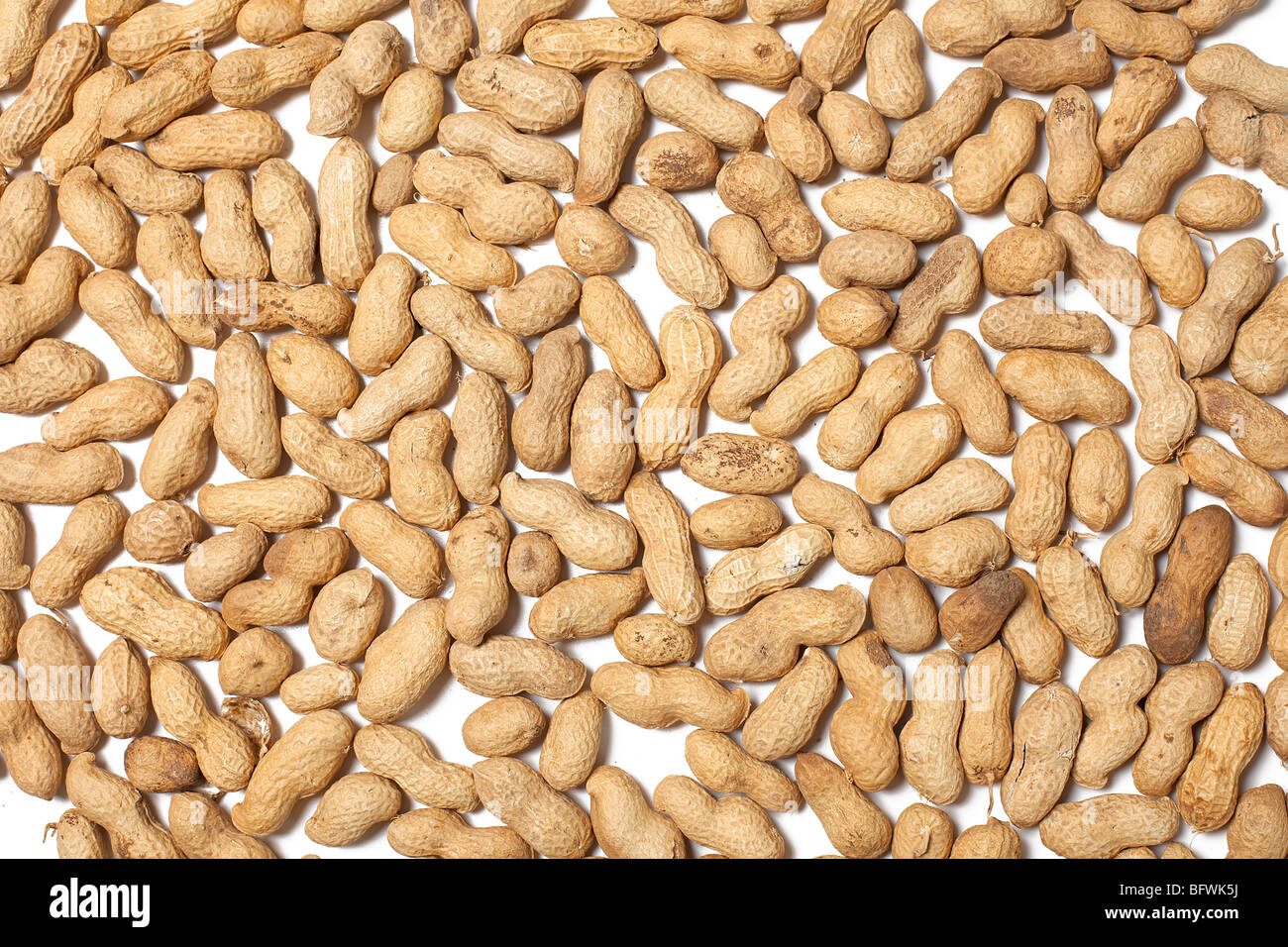 the peanuts on white background Stock Photo - Alamy