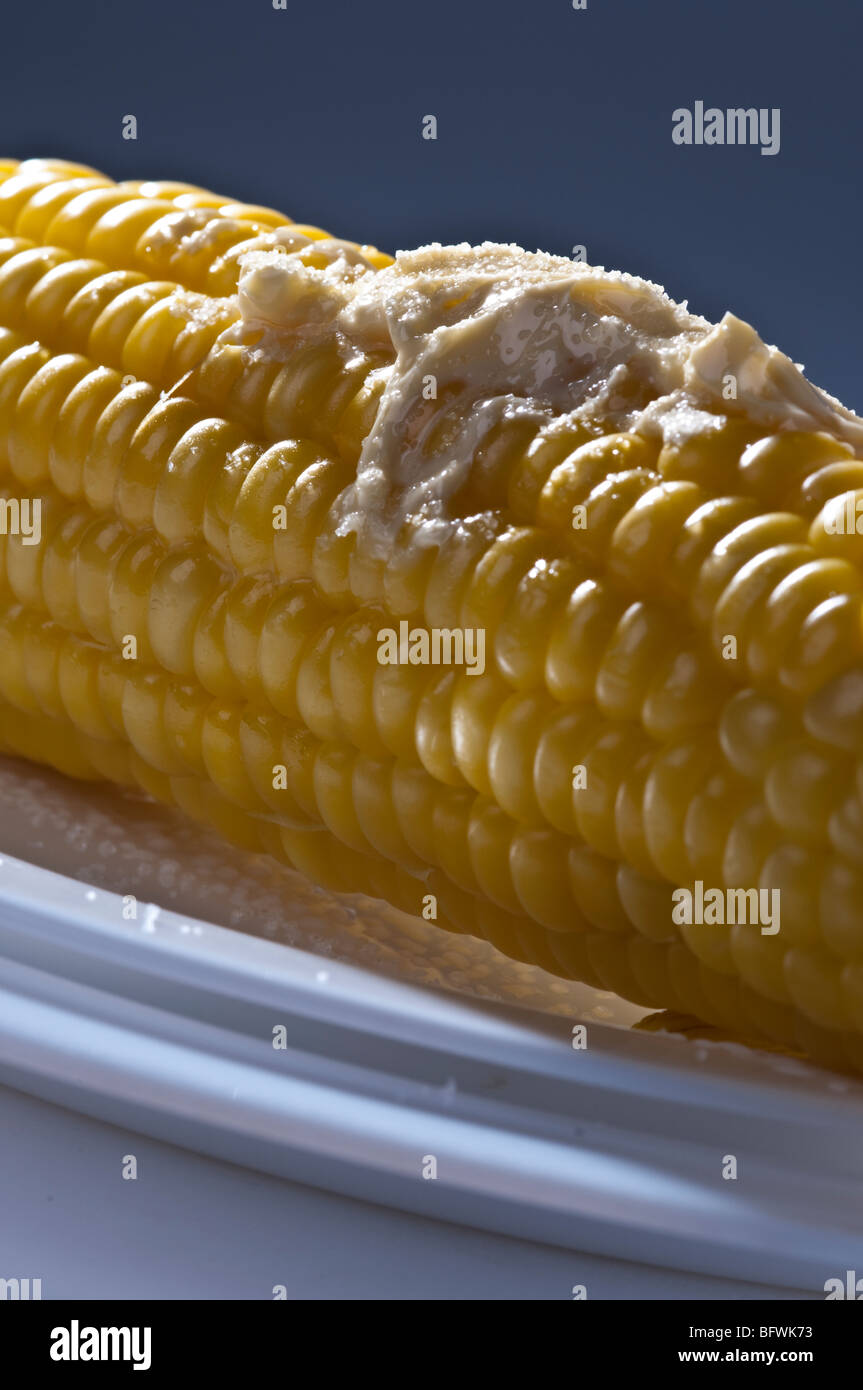 corn on the cob and butter melting on top Stock Photo - Alamy